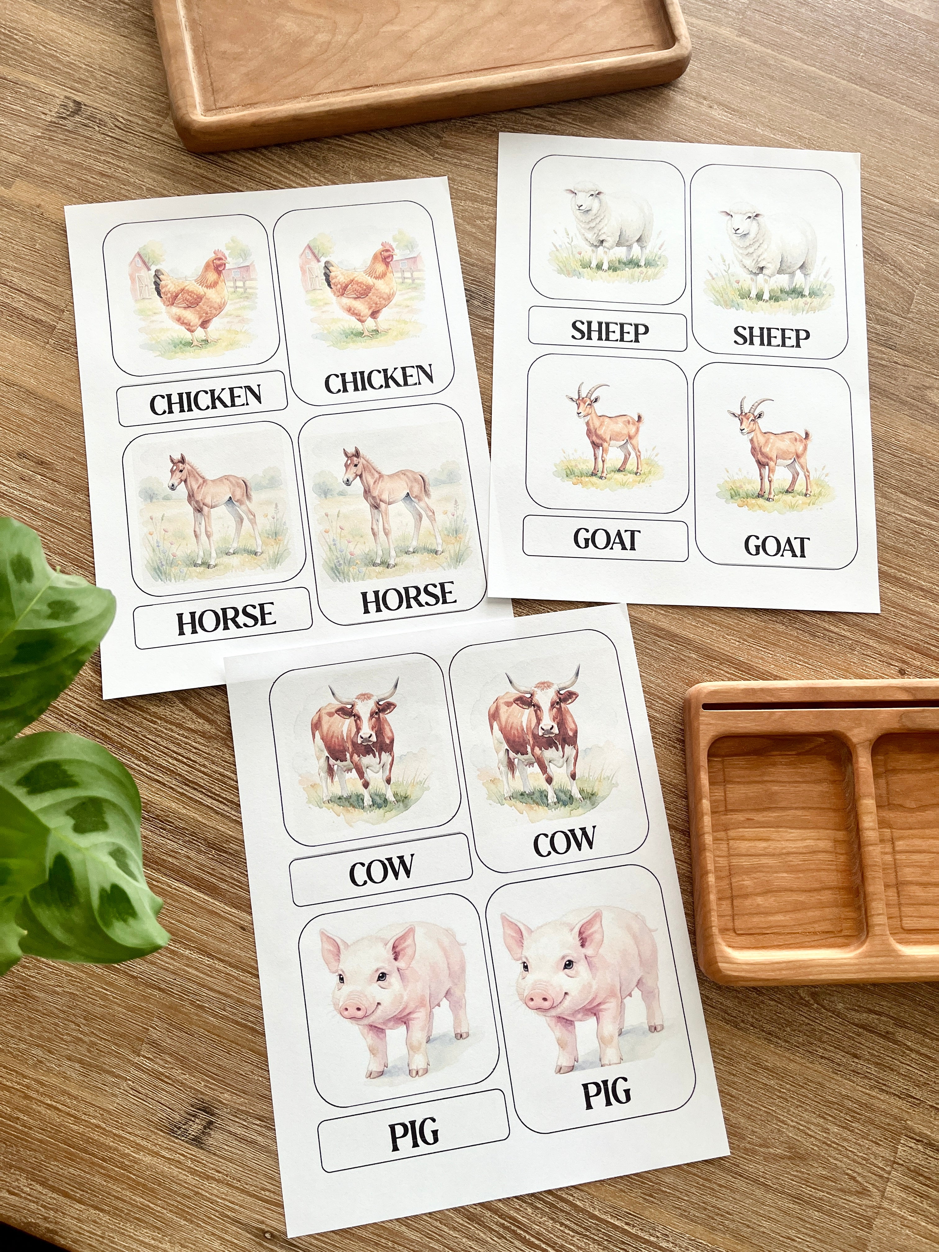 Digital Download | Farm Animal 3 Part Nomenclature Cards – AWandCo