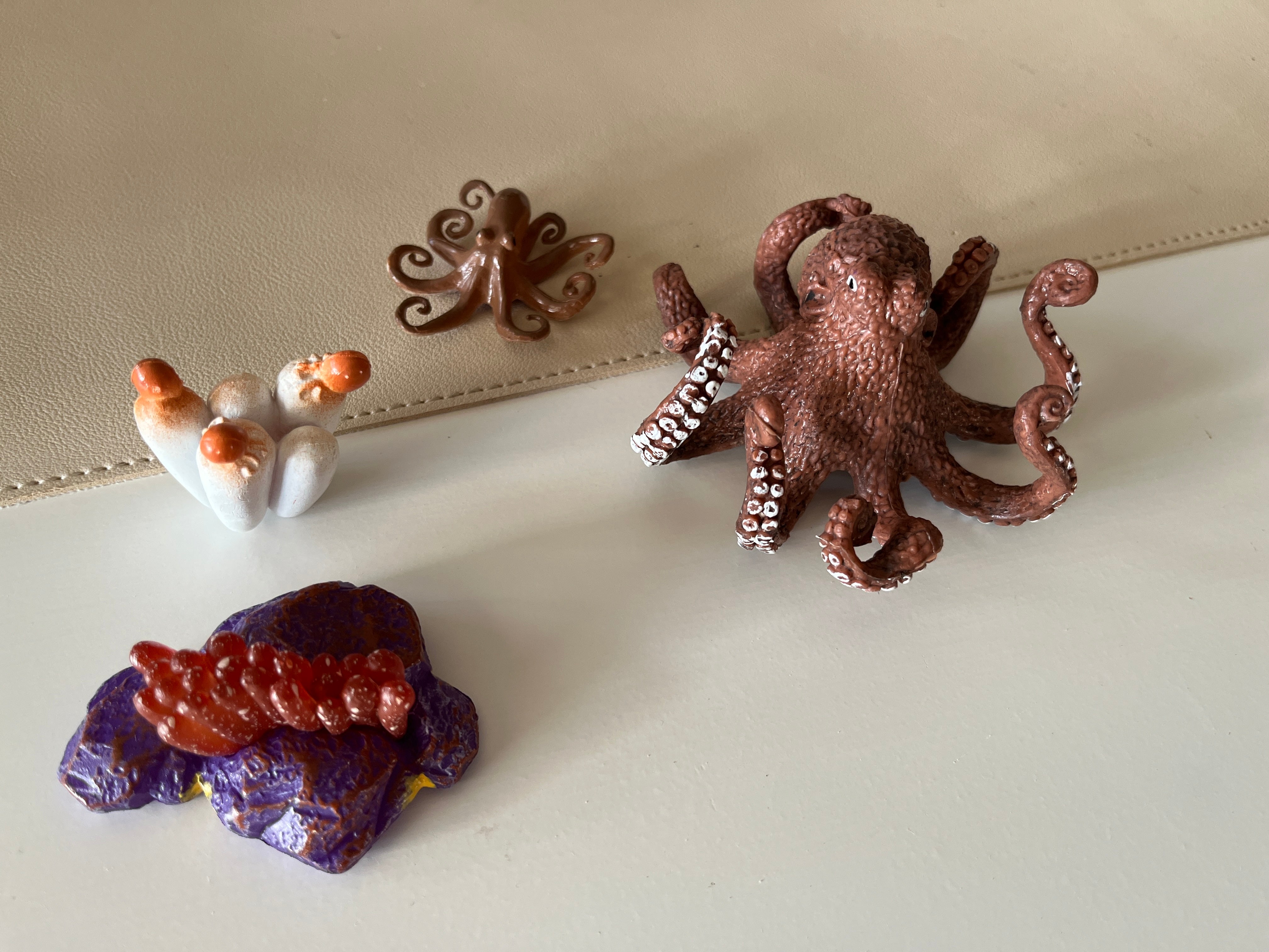 Octopus Life Cycle Figurines – AWandCo